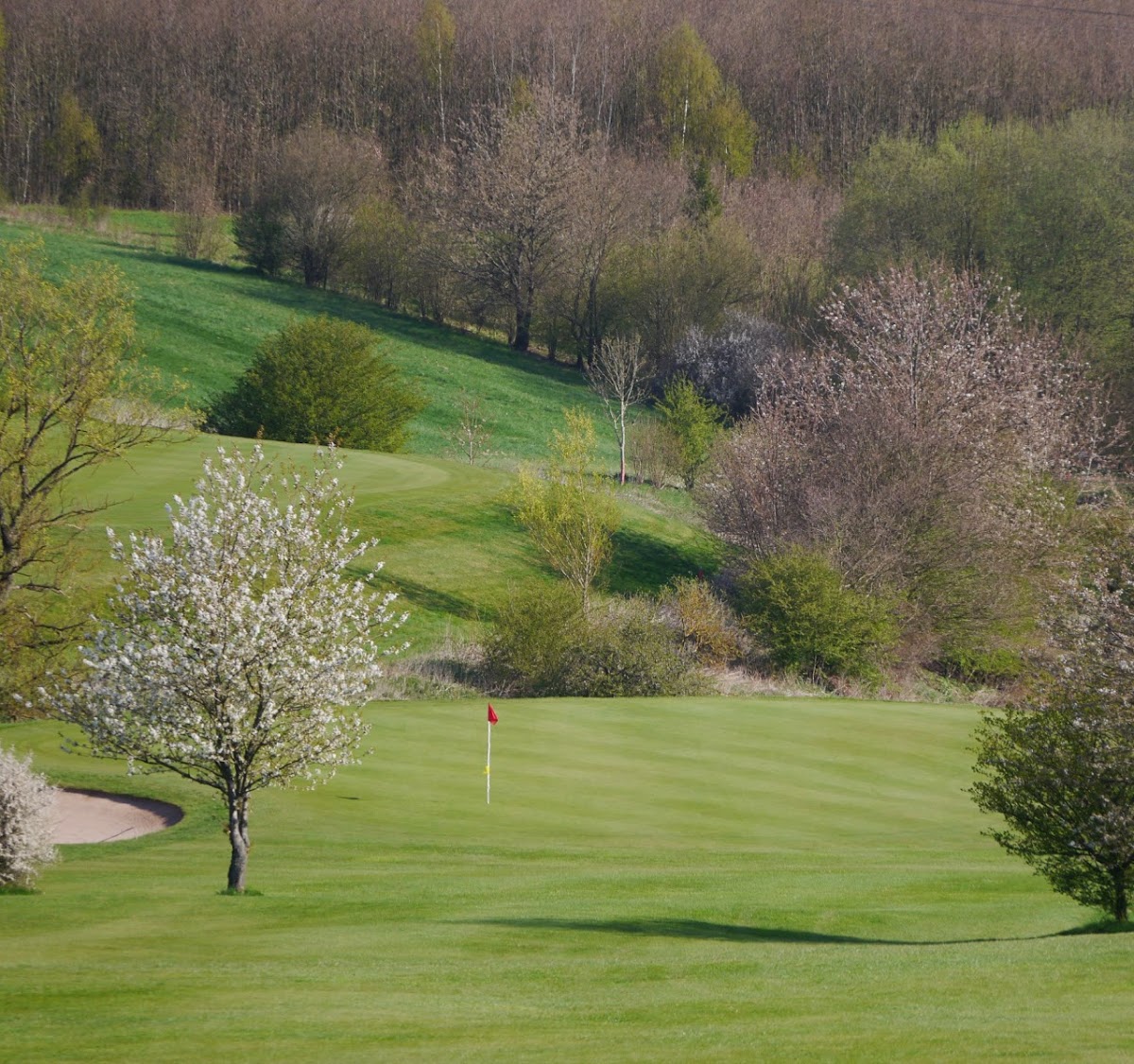 Golf-Club Cochem/Mosel | mein Golfclub